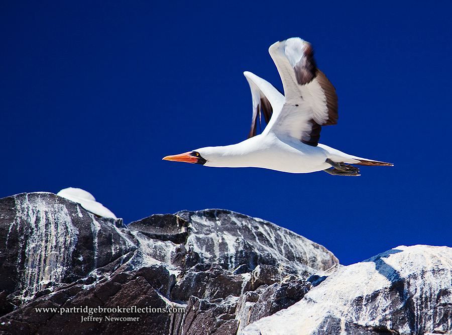 Getting it Right in the Digital Camera : Head & Nose Room